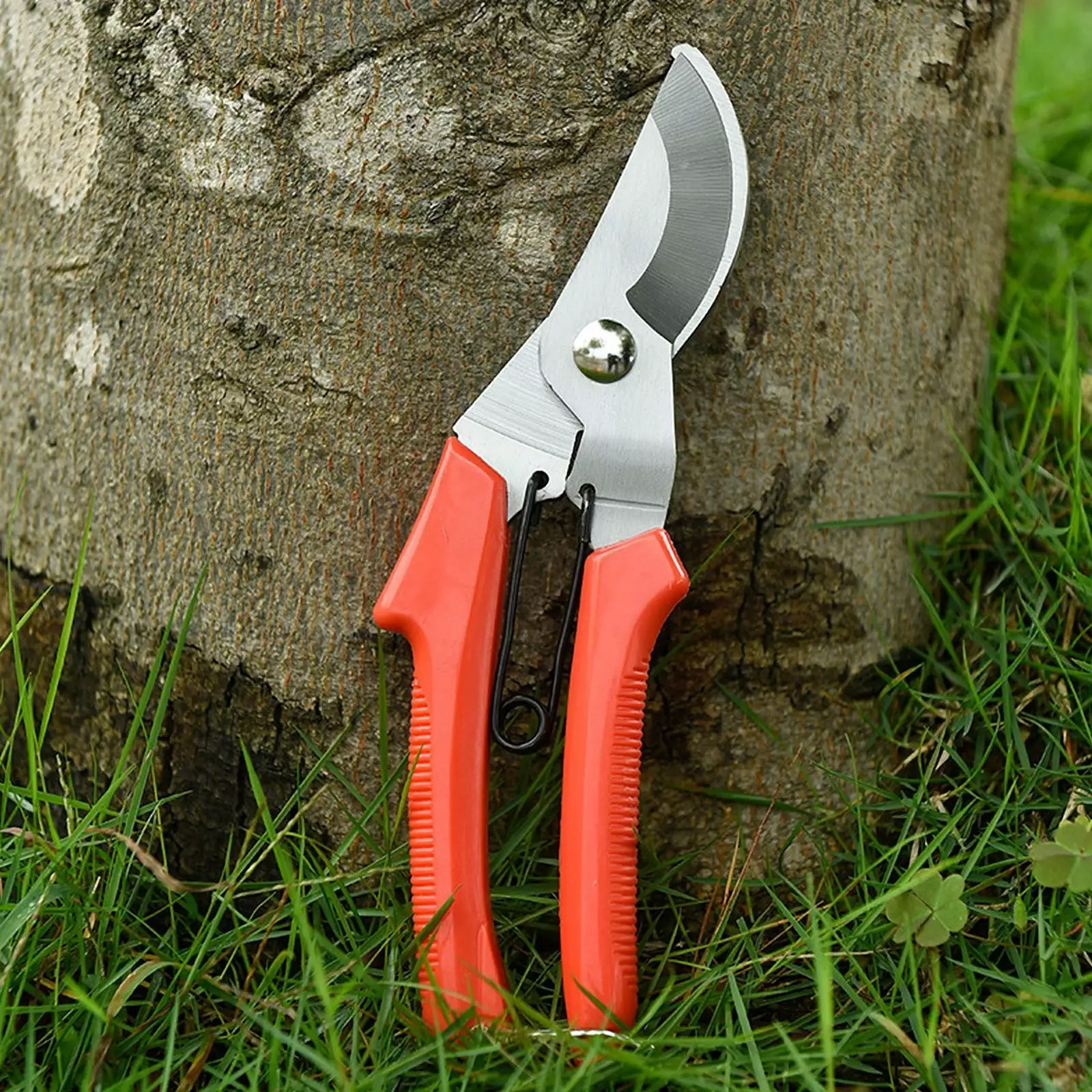 Pruning Scissorsgarden Flower Art Pruning Tree Branch Pruning Fruit ...